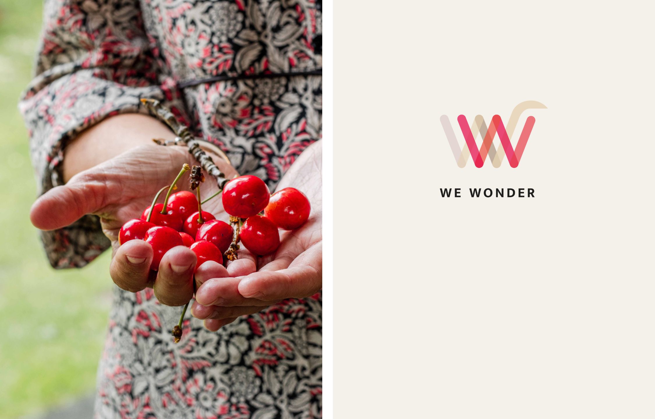 Portfolio: Branding voor We Wonder - Essencio Brands